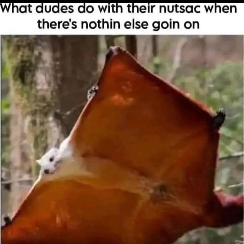 Post from Rogue, Internet Man