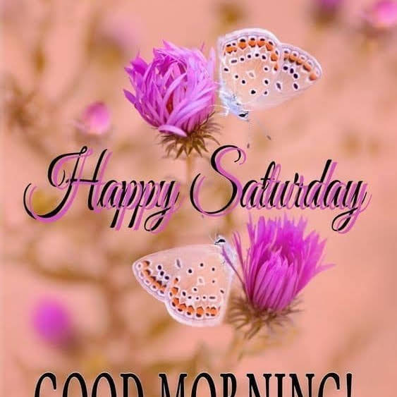 Post from Lighting their way home