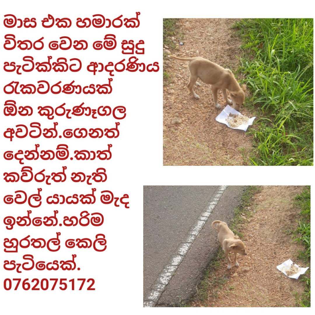 Post from DARSH & MARSH