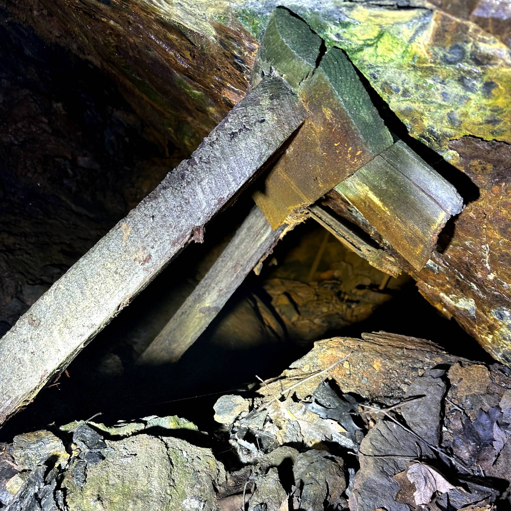 Post from EXploring With Bob V