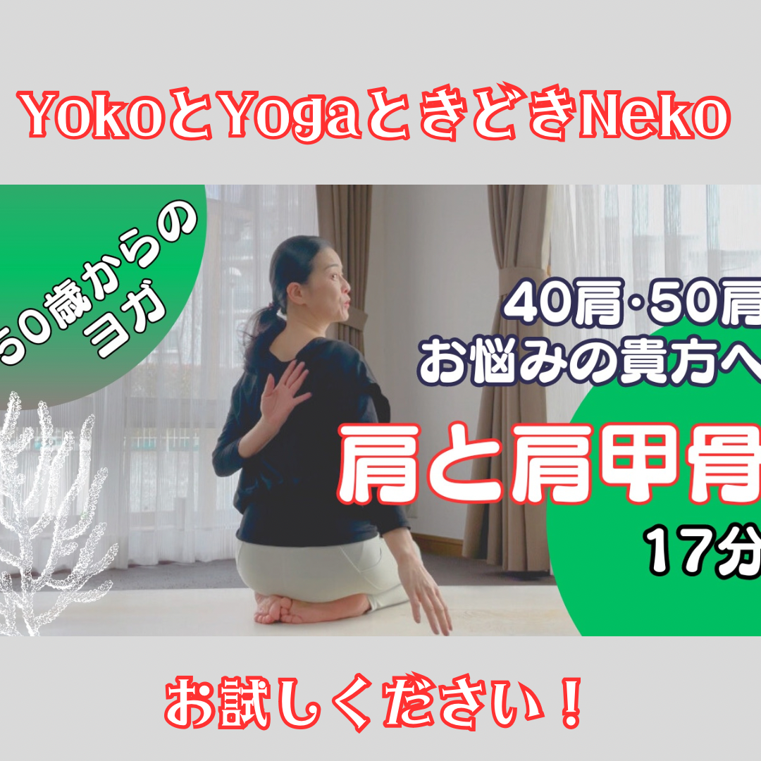 Post from YokoとYoga ときどきNeko