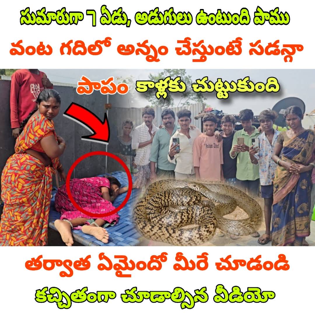 Post from Akbar Aziz Snake Catcher