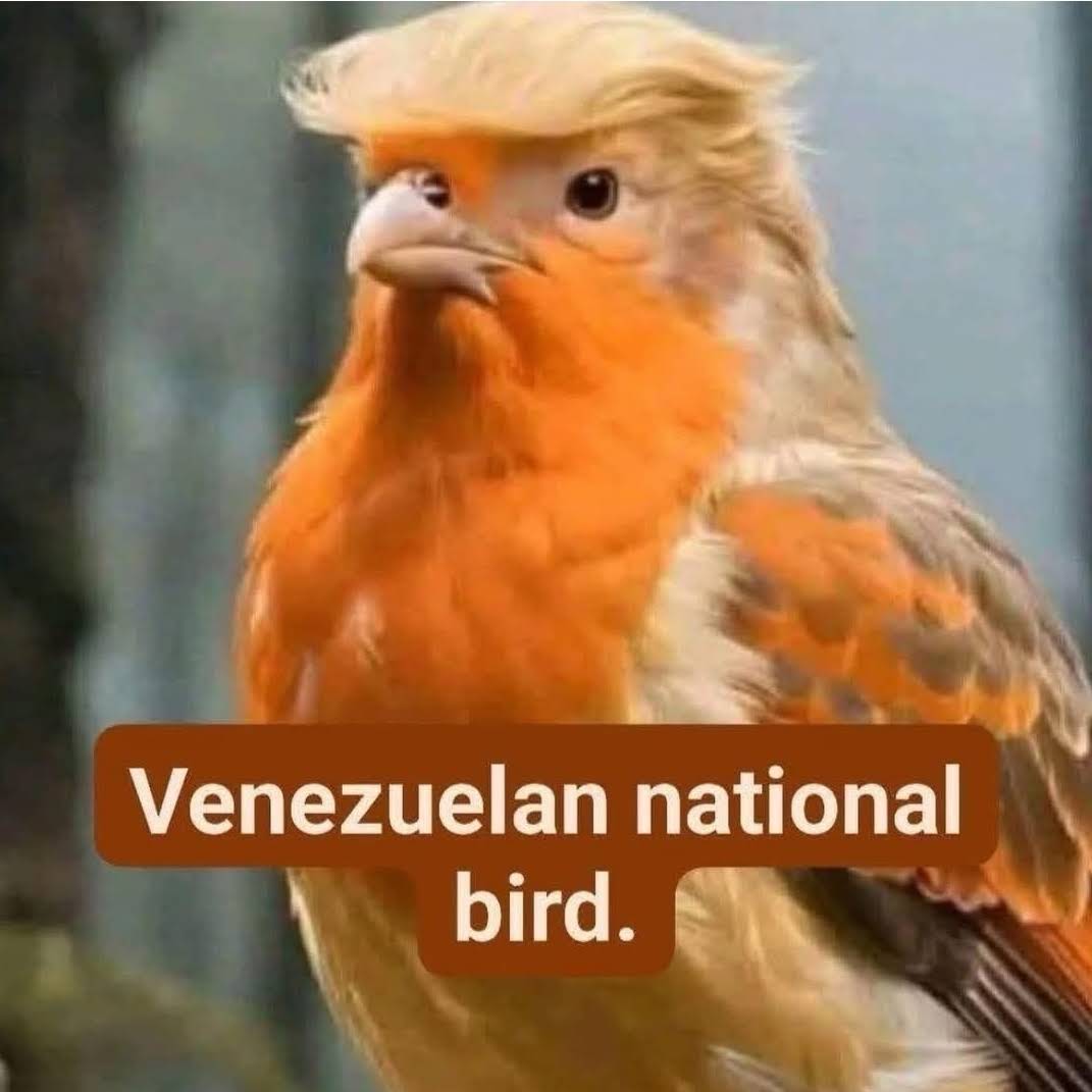 Post from We Woke Now