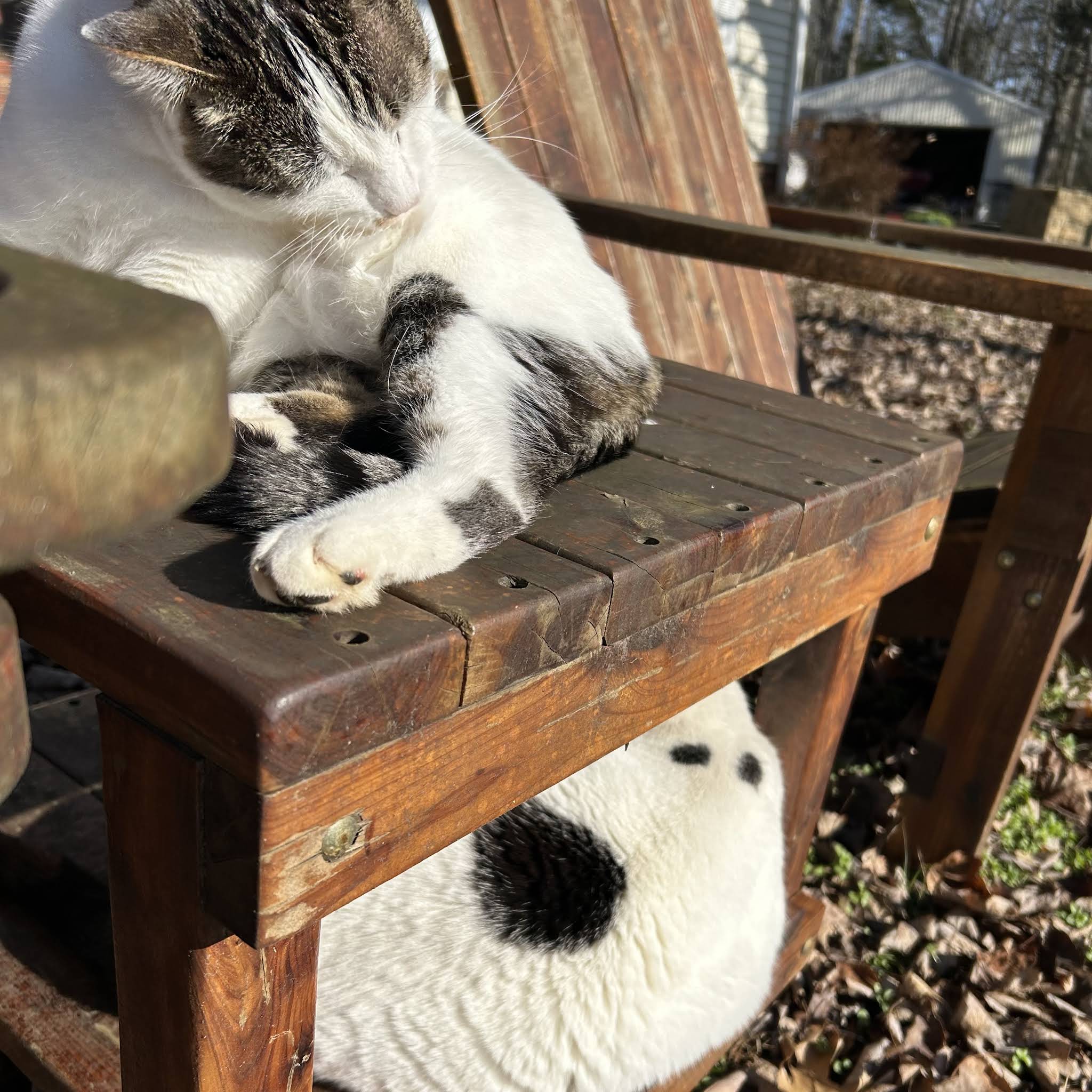 Post from Kaye Kittrell Late Bloomer