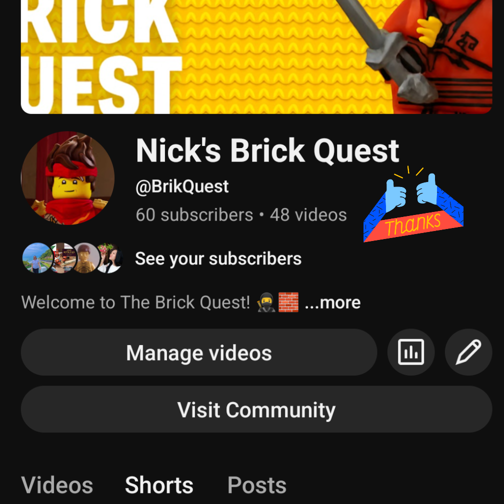 Post from Nick's Brick Quest