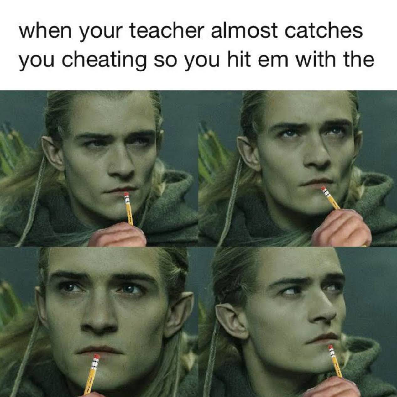 Post from Connor Pugs