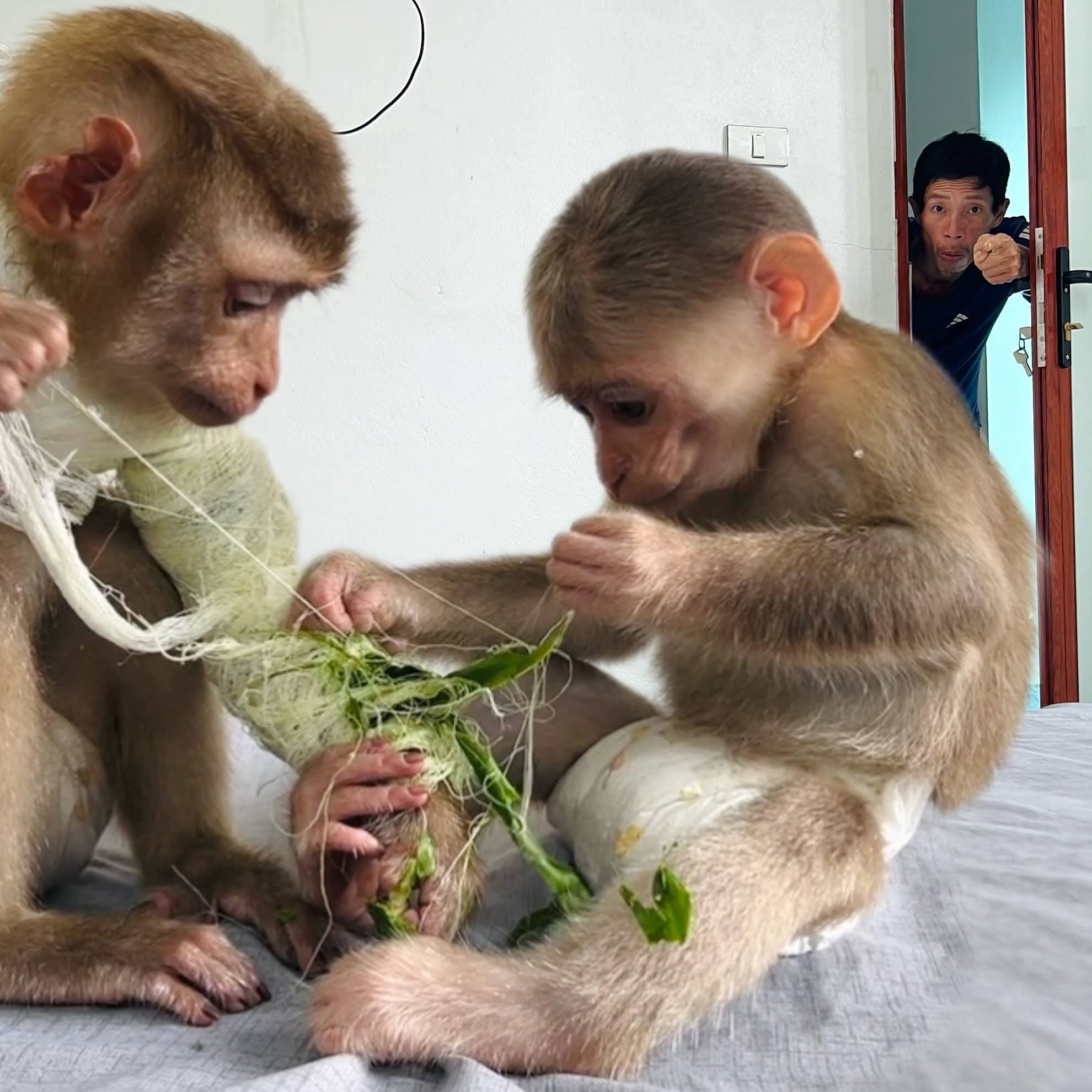 Post from Monkey Tina