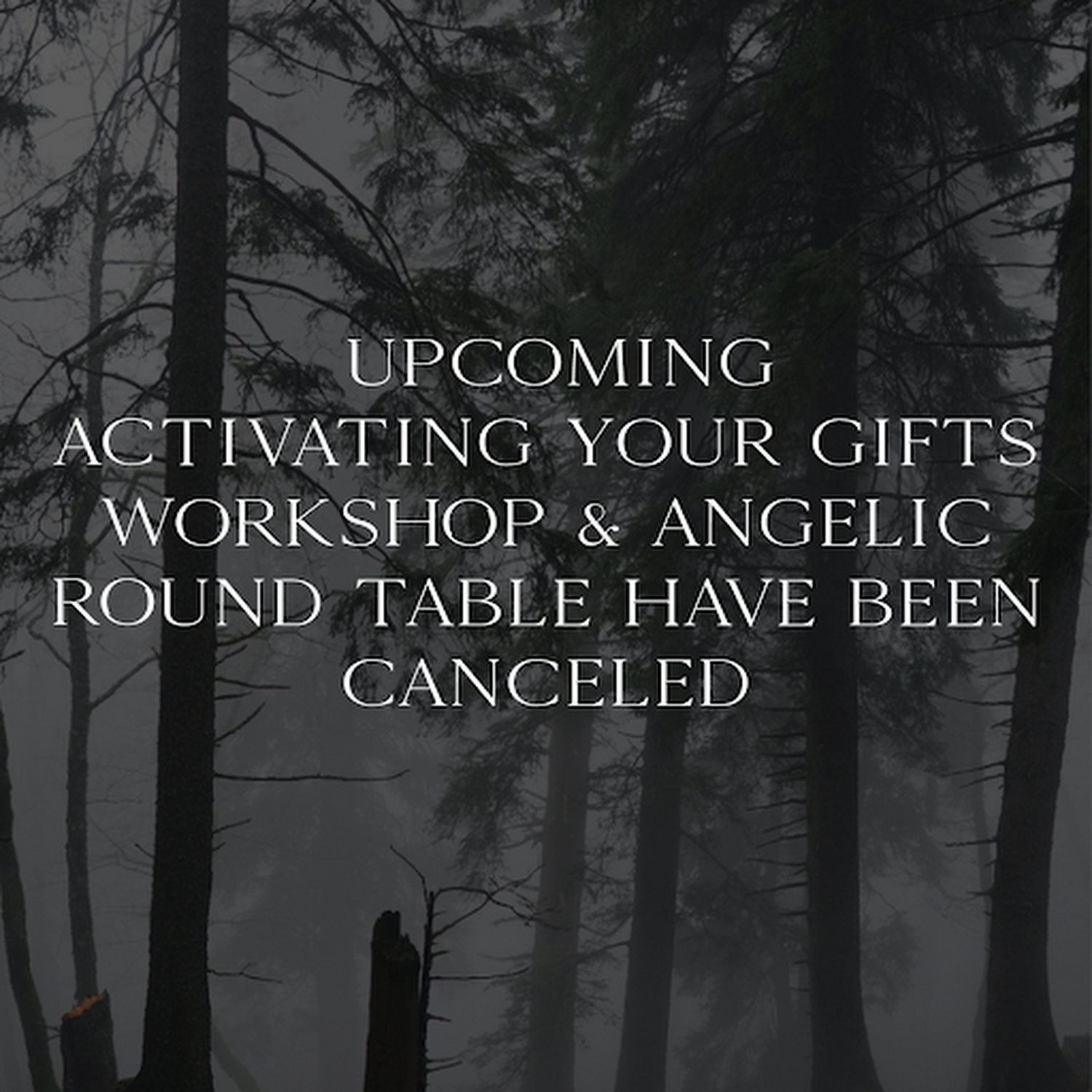 Post from Lynne Rondell