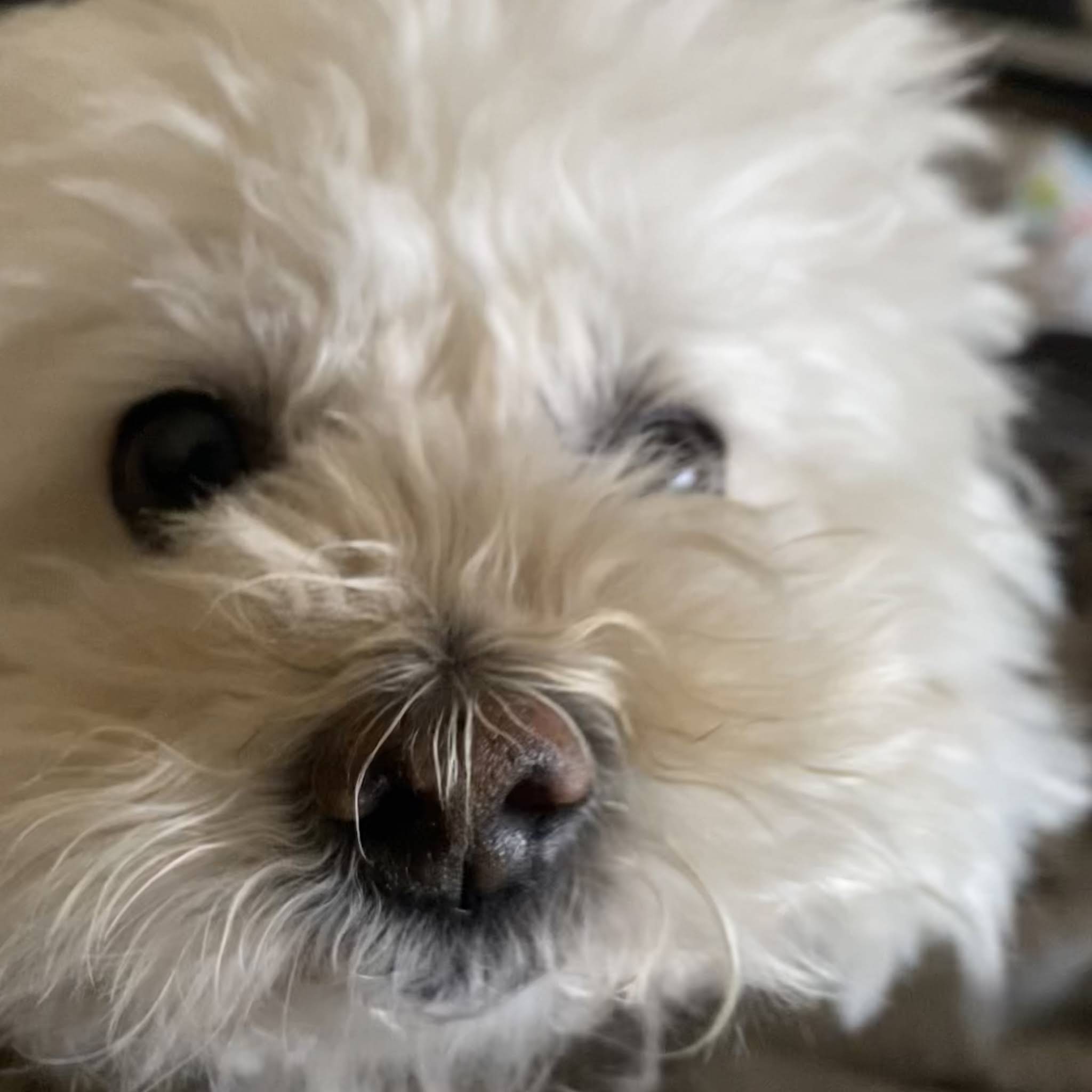 Post from R.I.P / RIProducer