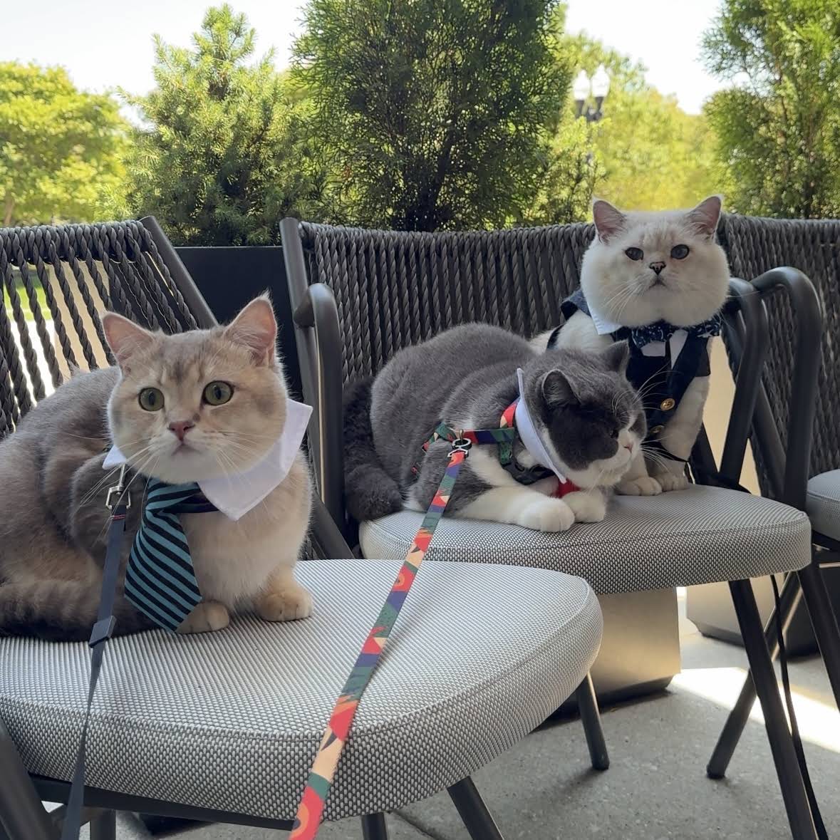 Post from Prince Louie & Todd