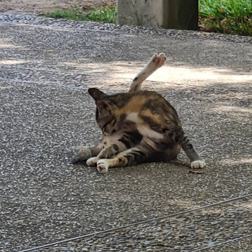 Post from Dwayne Ong