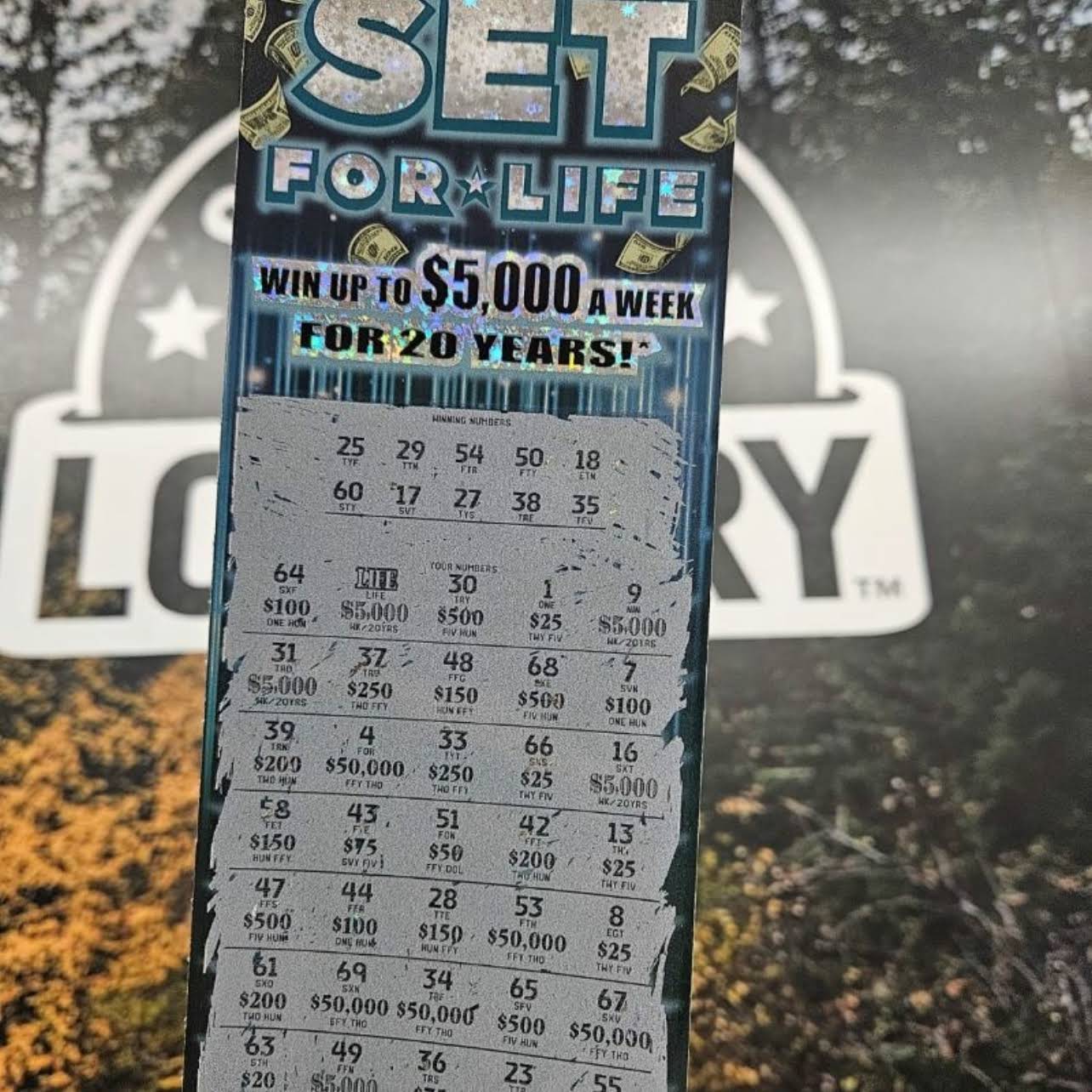 Post from Official Lottery Stories