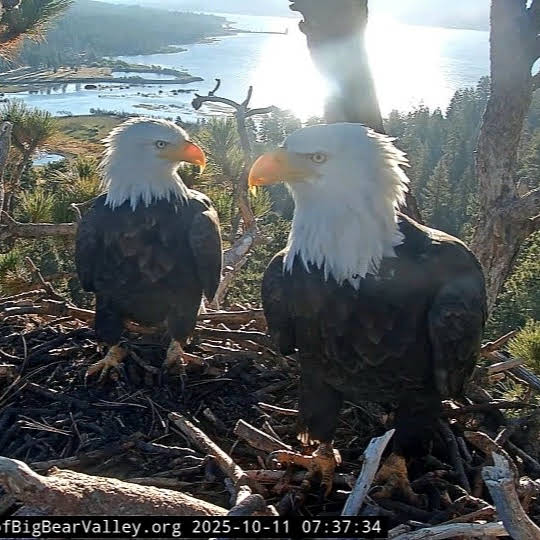 Post from FOBBV CAM