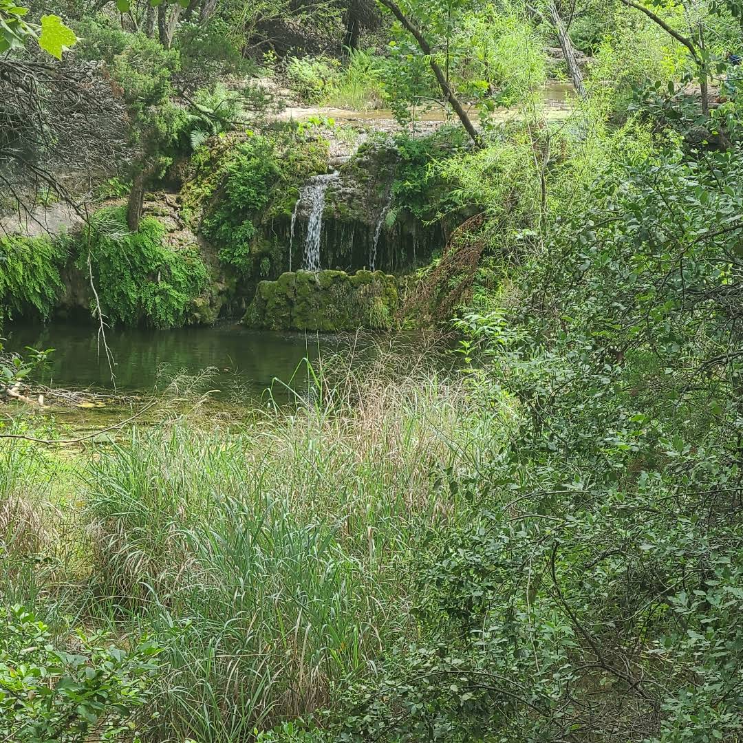 Post from Ericka Williams Classy Climb Smartphone Money