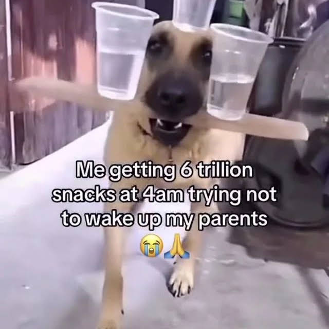 Post from Meme Zee