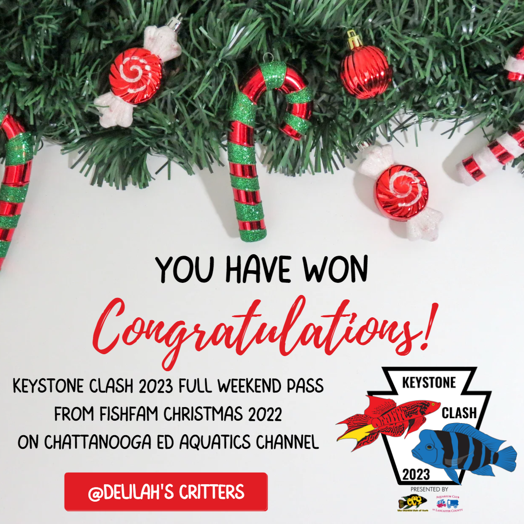 Post from FishFam Christmas