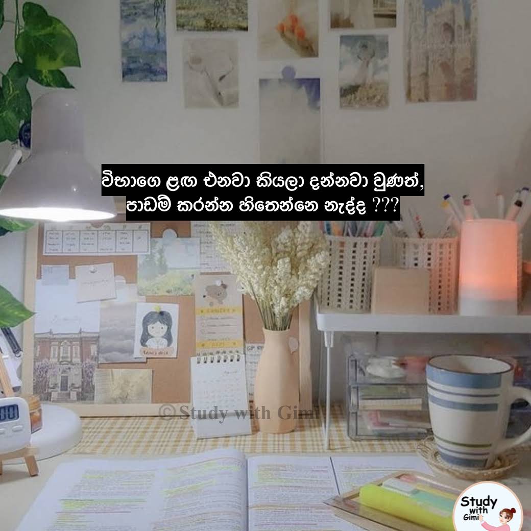 Post from Study with Gimi