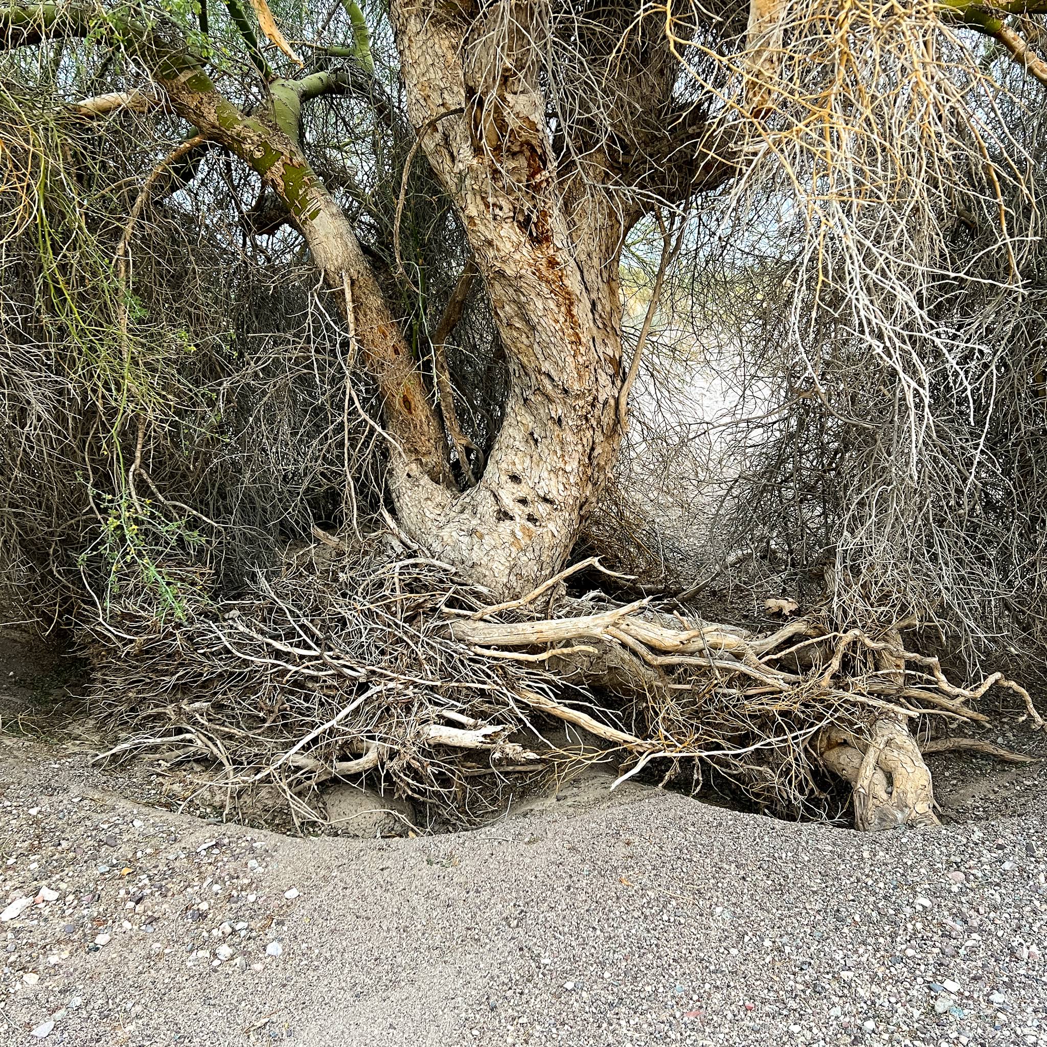 Post from Robert Witham