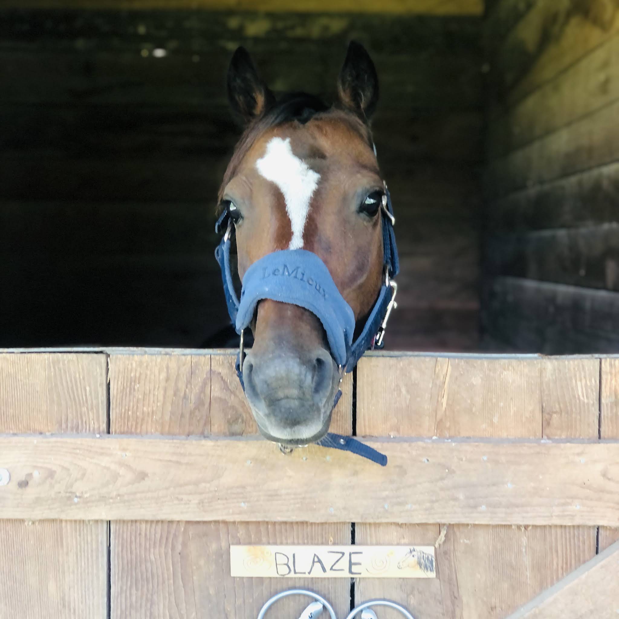 Post from the Lily Rhodes Show