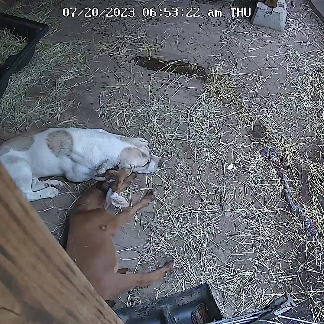 Post from K&S Get Out