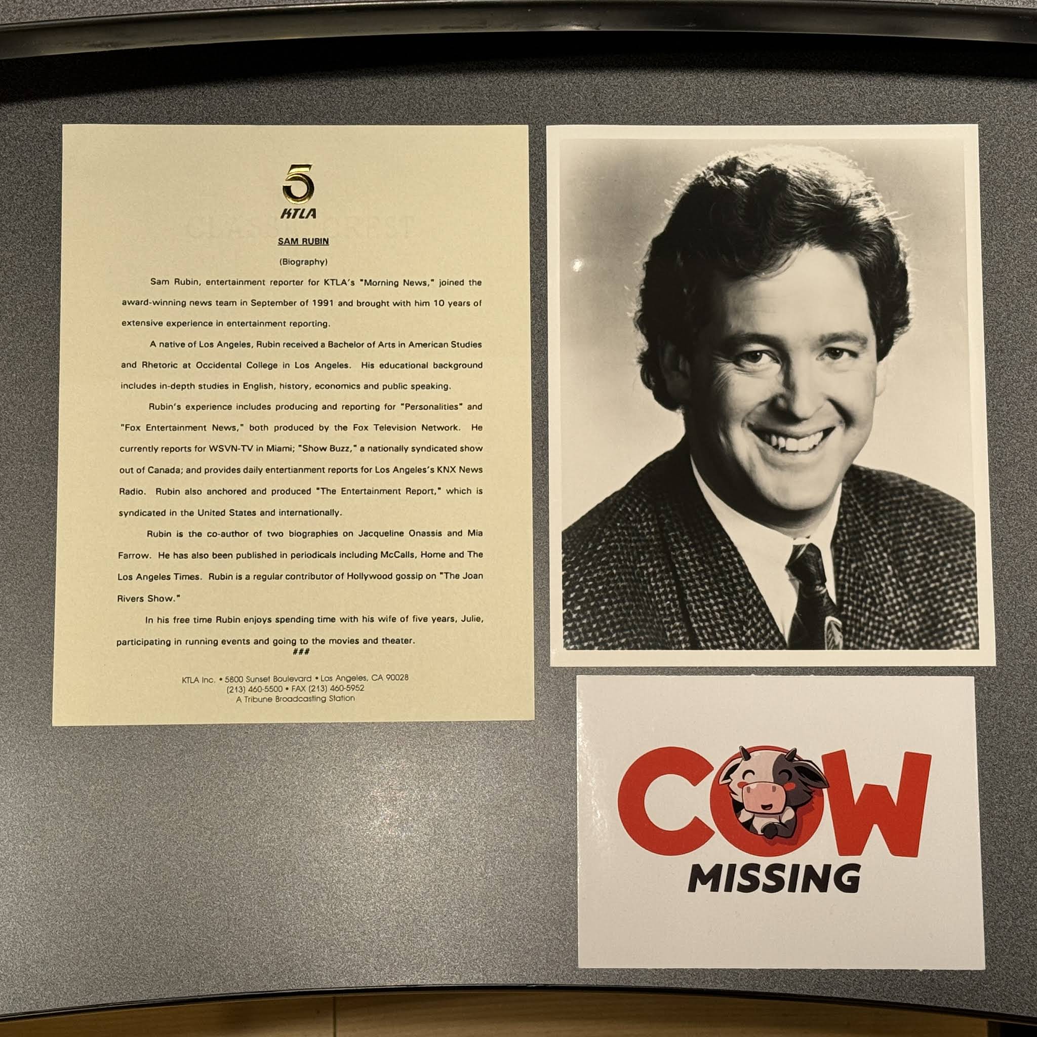 Post from Cow Missing