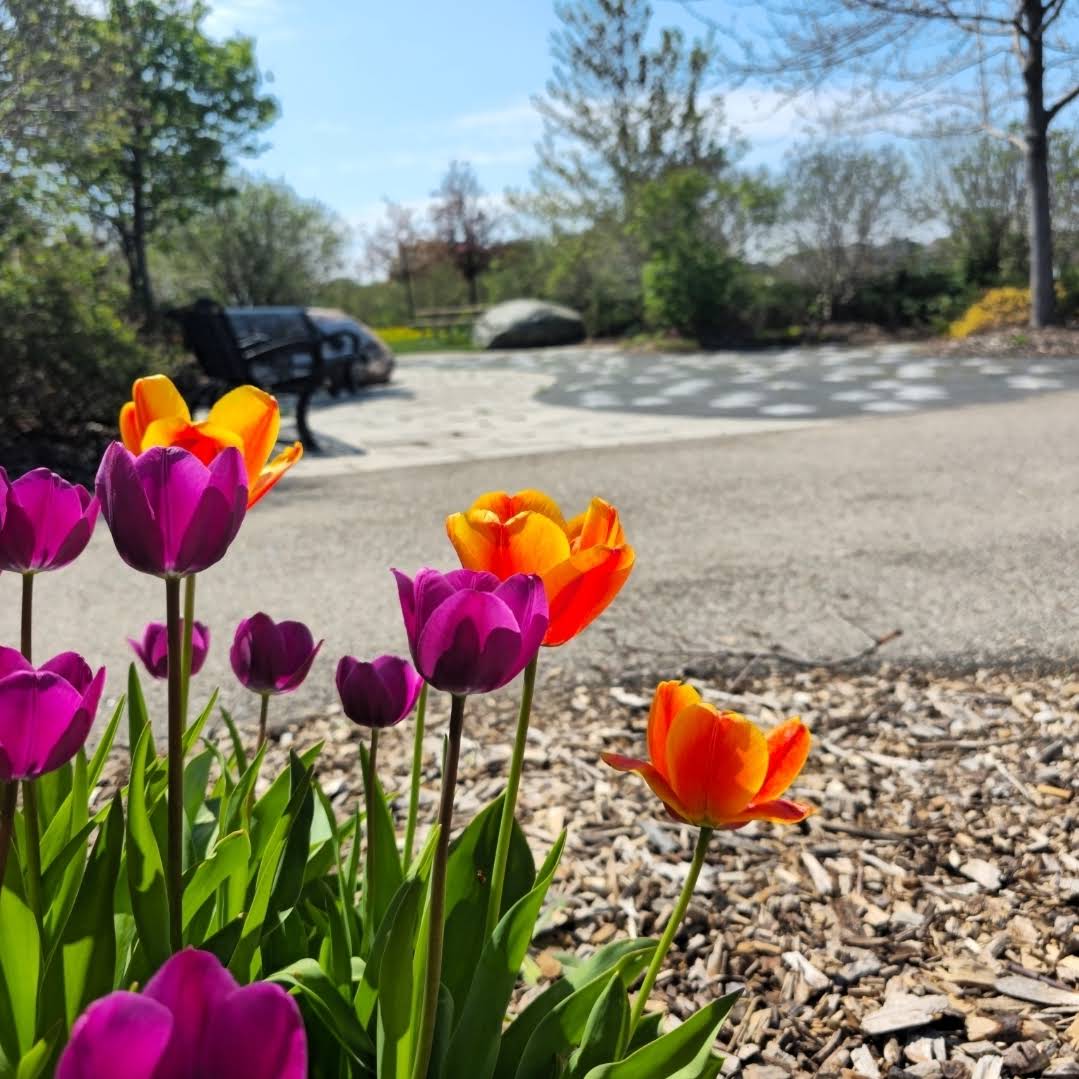 Post from Disaster Breakdown