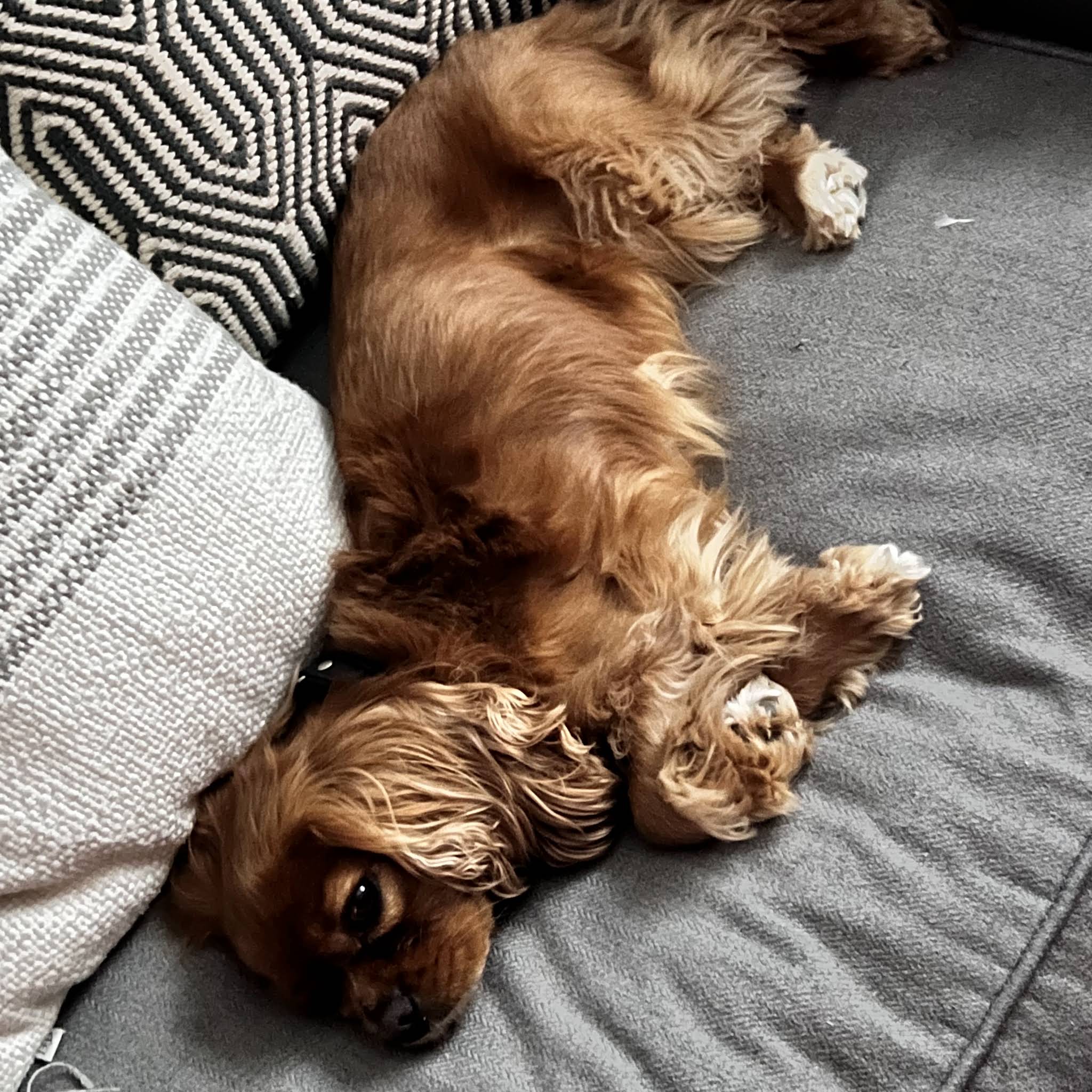 Post from Nick on Planet Ripple