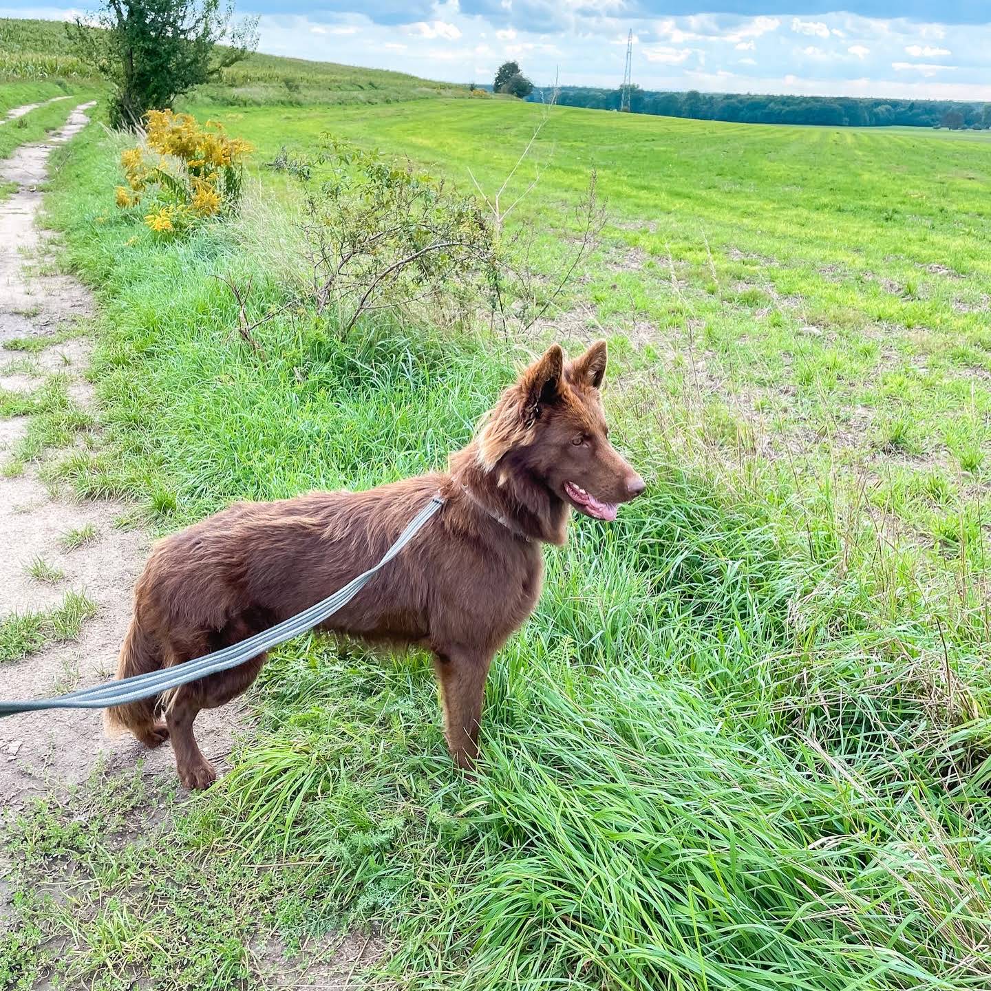 Post from Arleta Watral