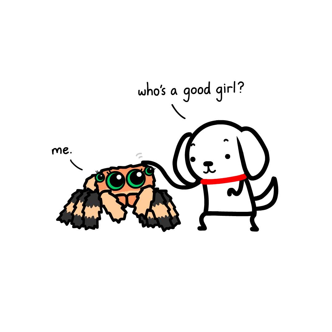 Post from Dumb Doggo