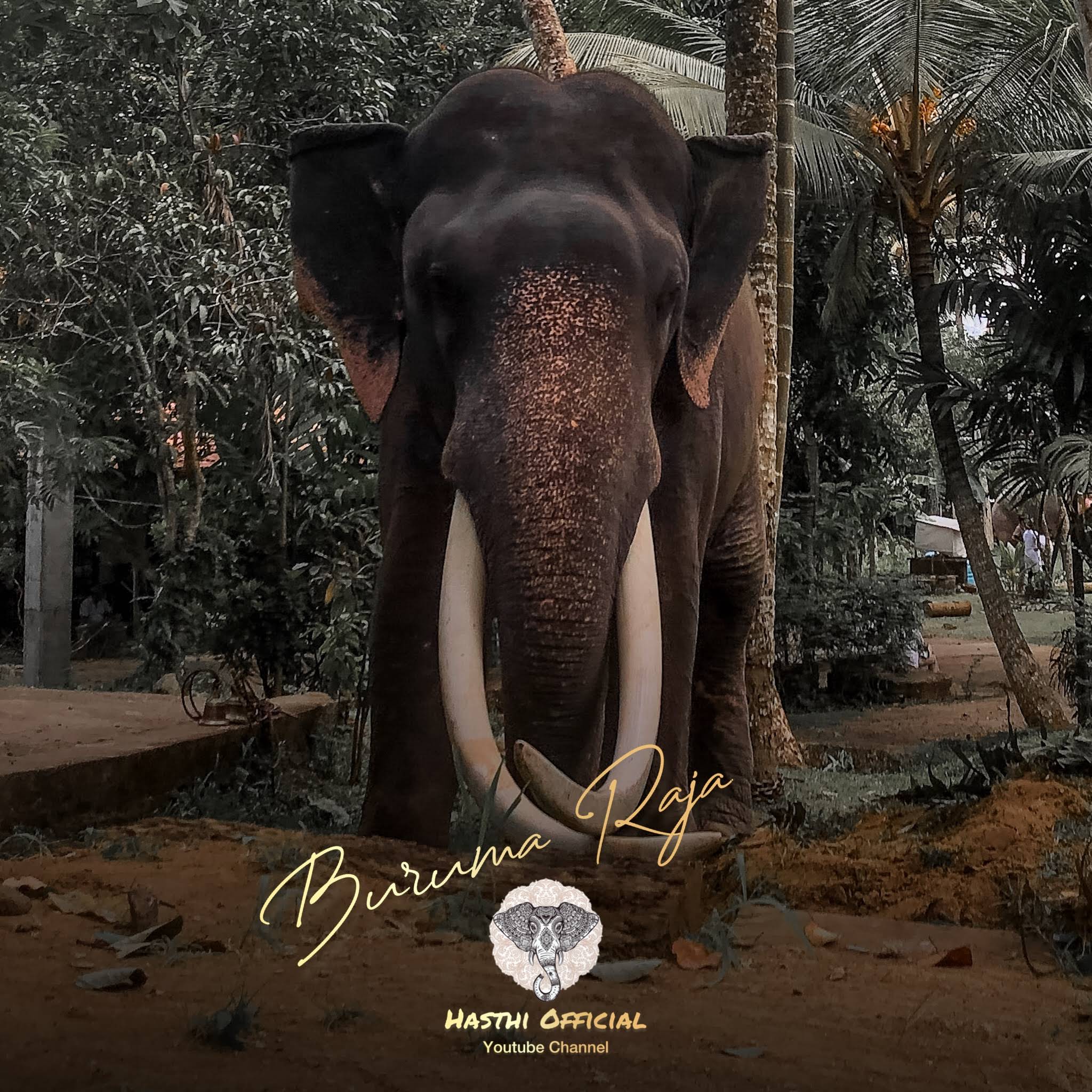 Post from Hasthi Official