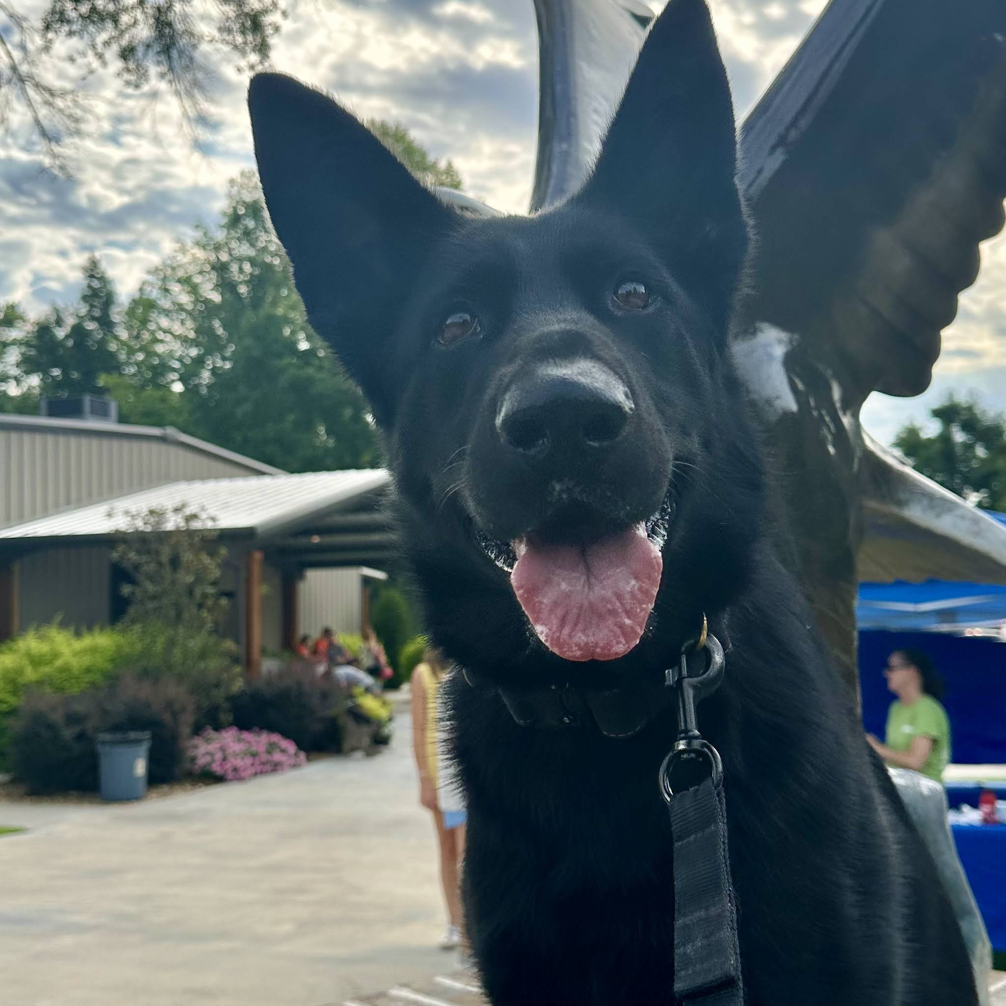 Post from Georgia Police K9 Foundation