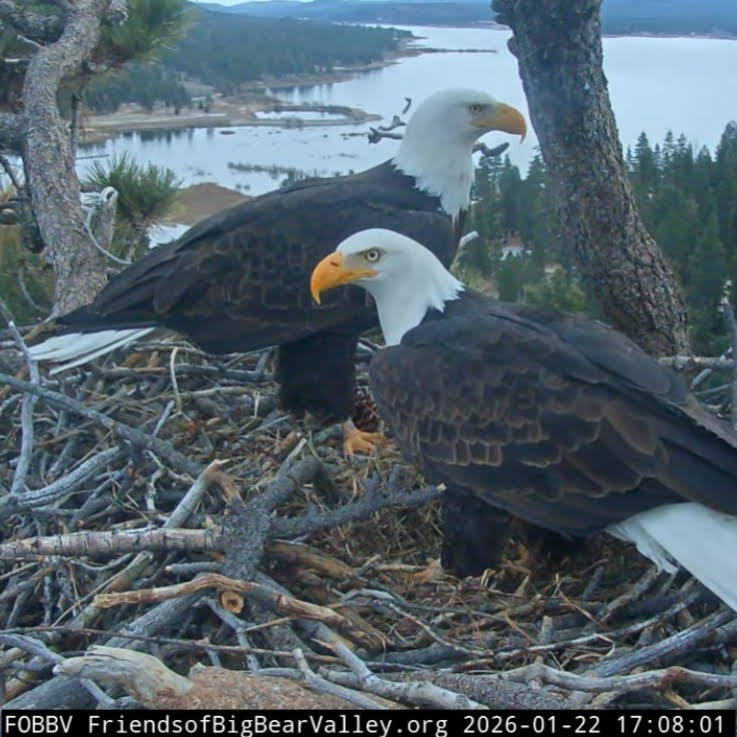 Post from FOBBV CAM