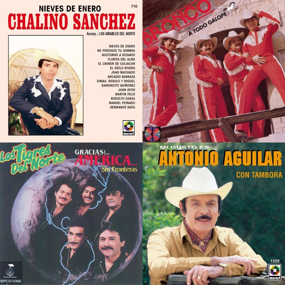 musica chingona 🤠