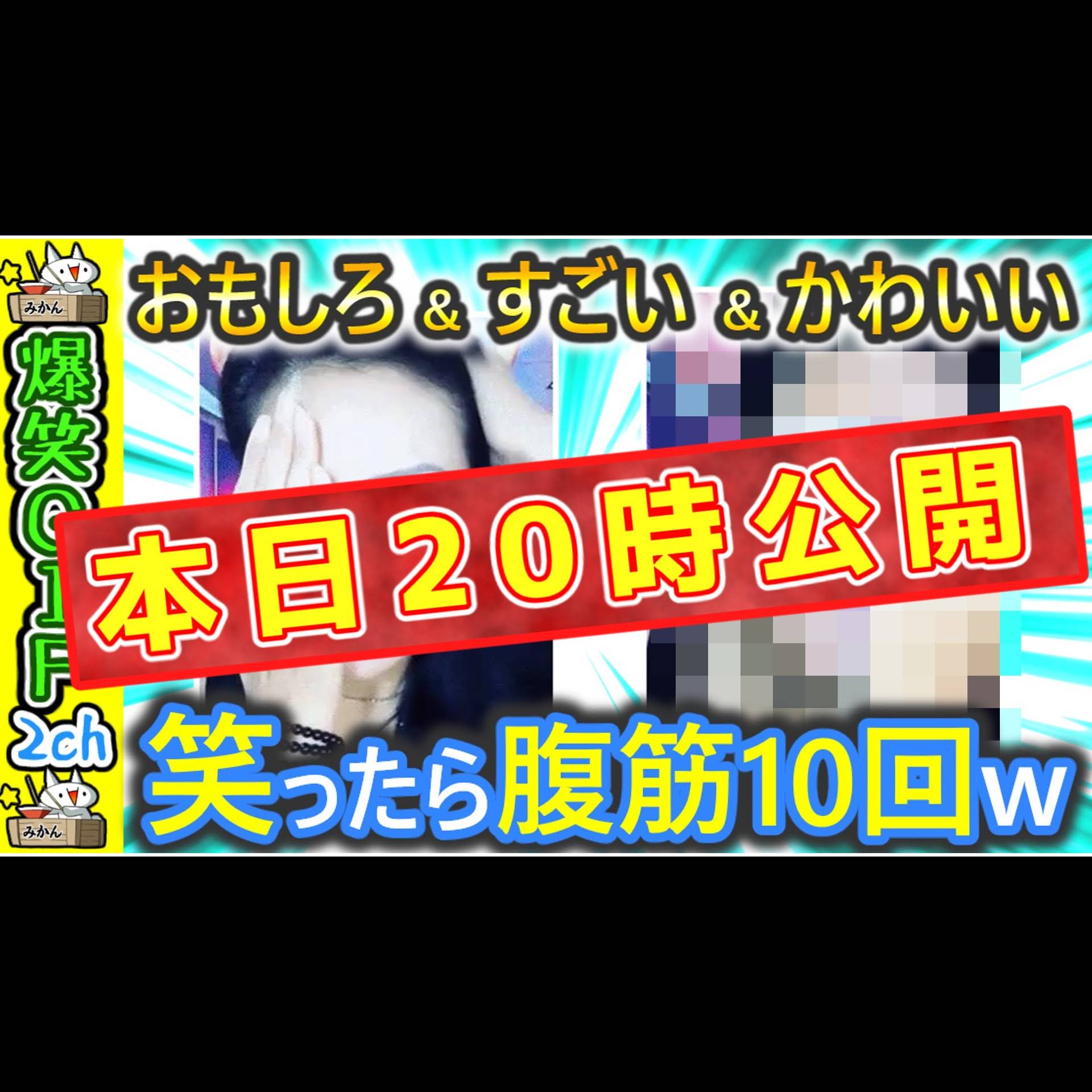 Post from 5ch_cat
