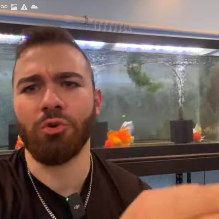 Post from Suspect Mystery Mansion Animation