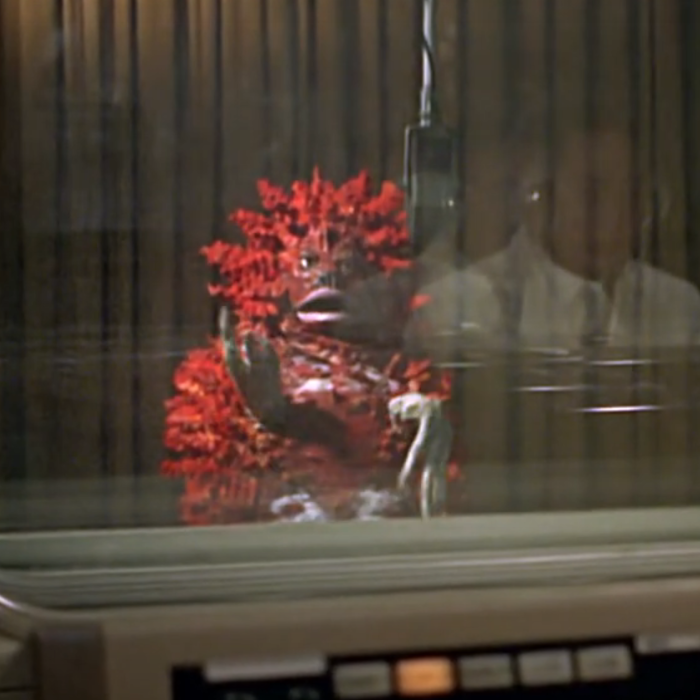 Post from The Toku Professor