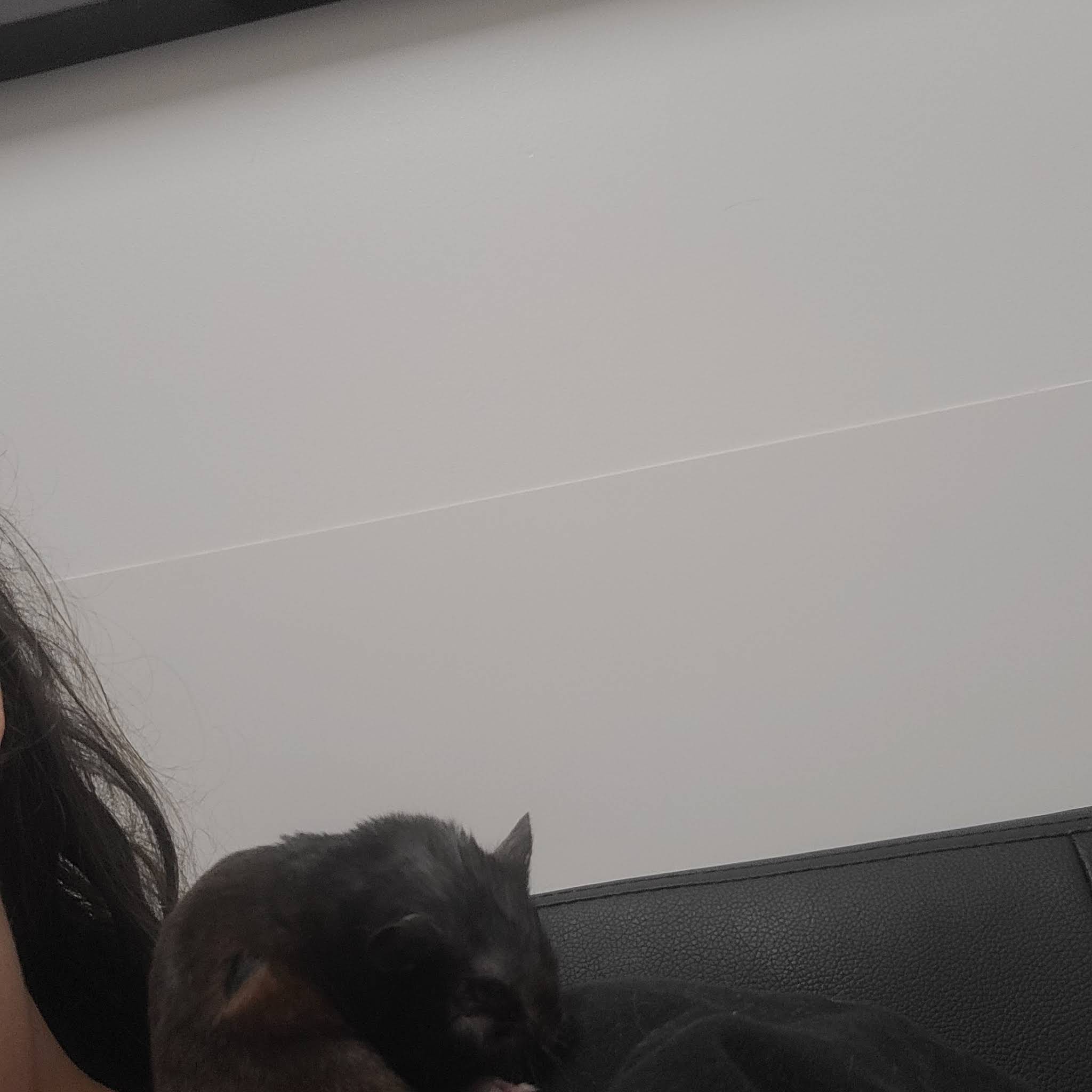 Post from Purity Sin Gaming