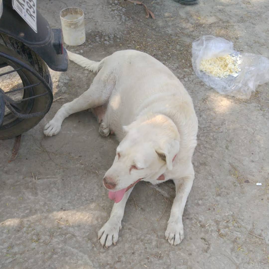 Post from Palakkadan changathi