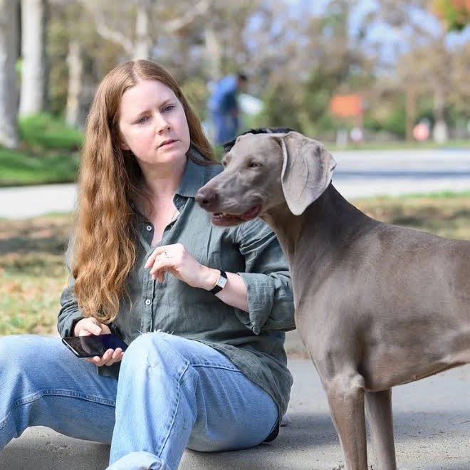 Post from The Awards Contender