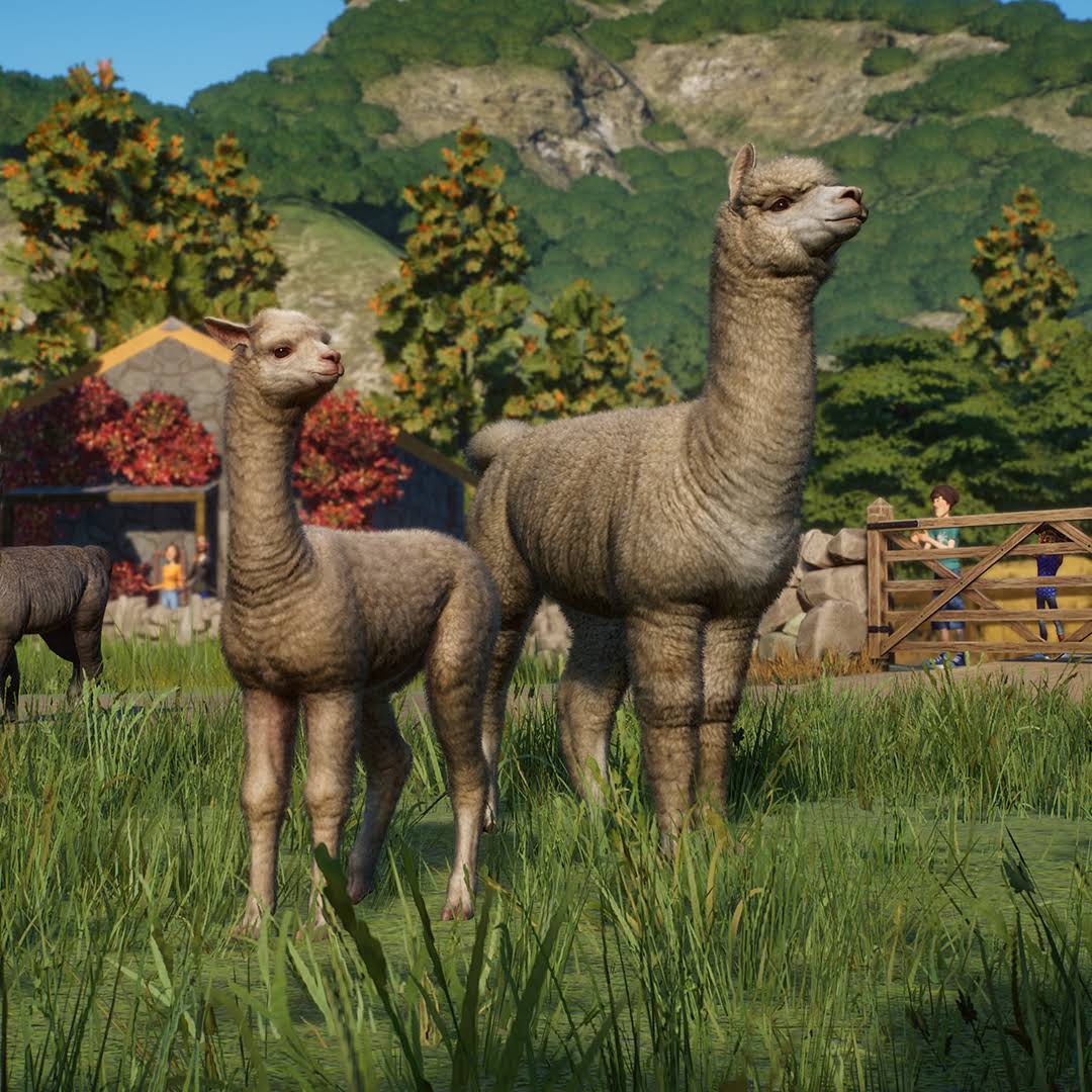 Post from Cesar Creates