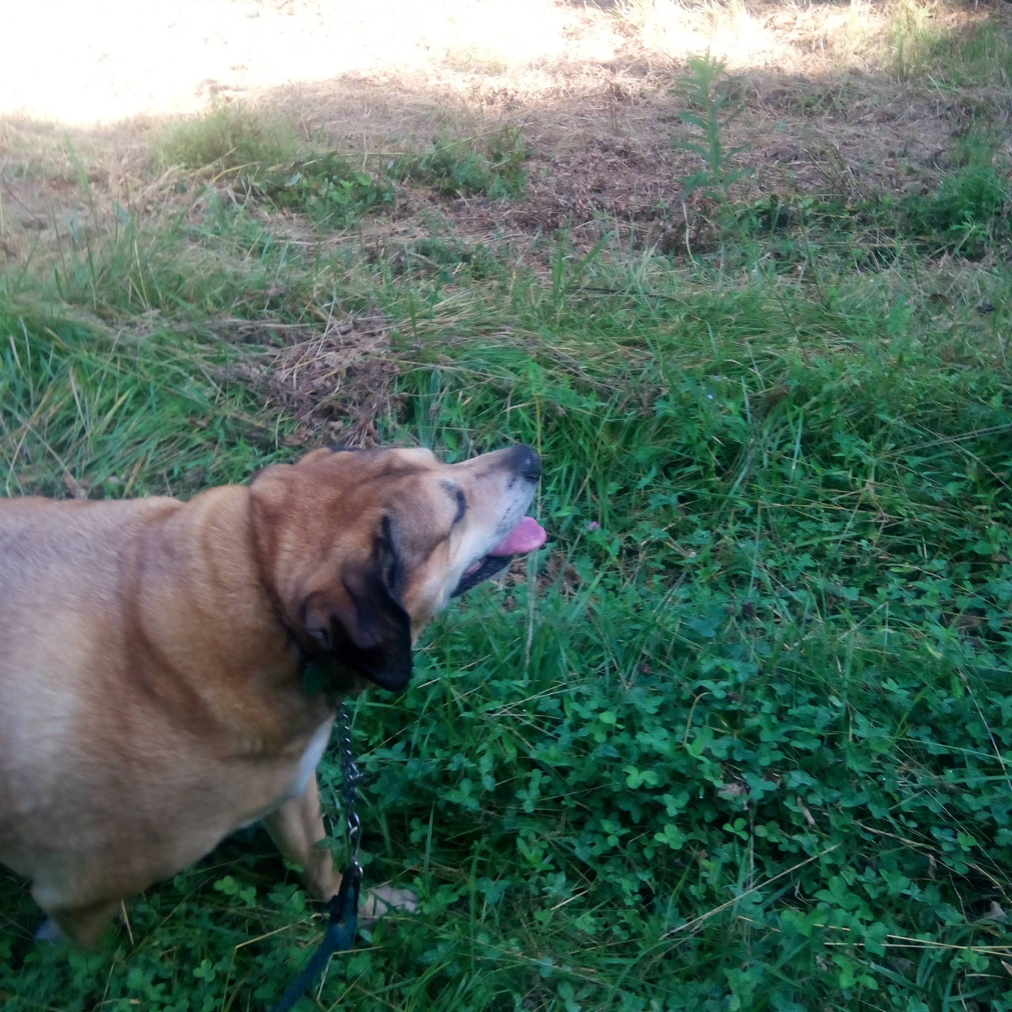 Post from Elvis and I at home