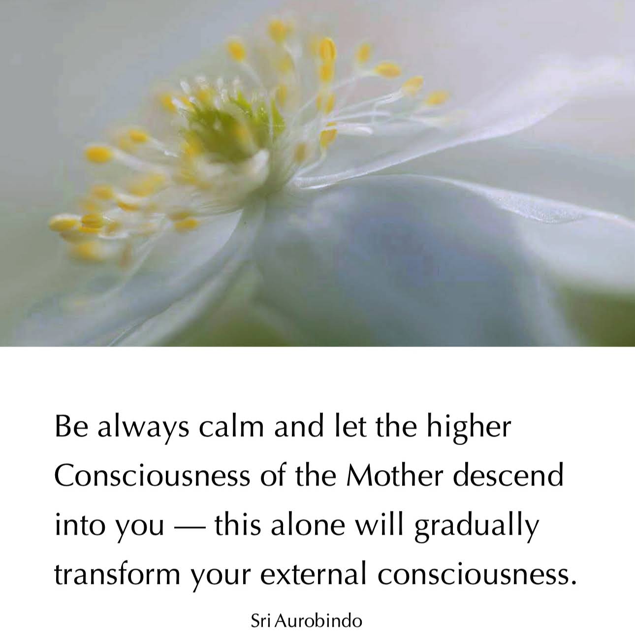 Post from Arvind T Akki Sri Aurobindo Ashram, Pondicherry
