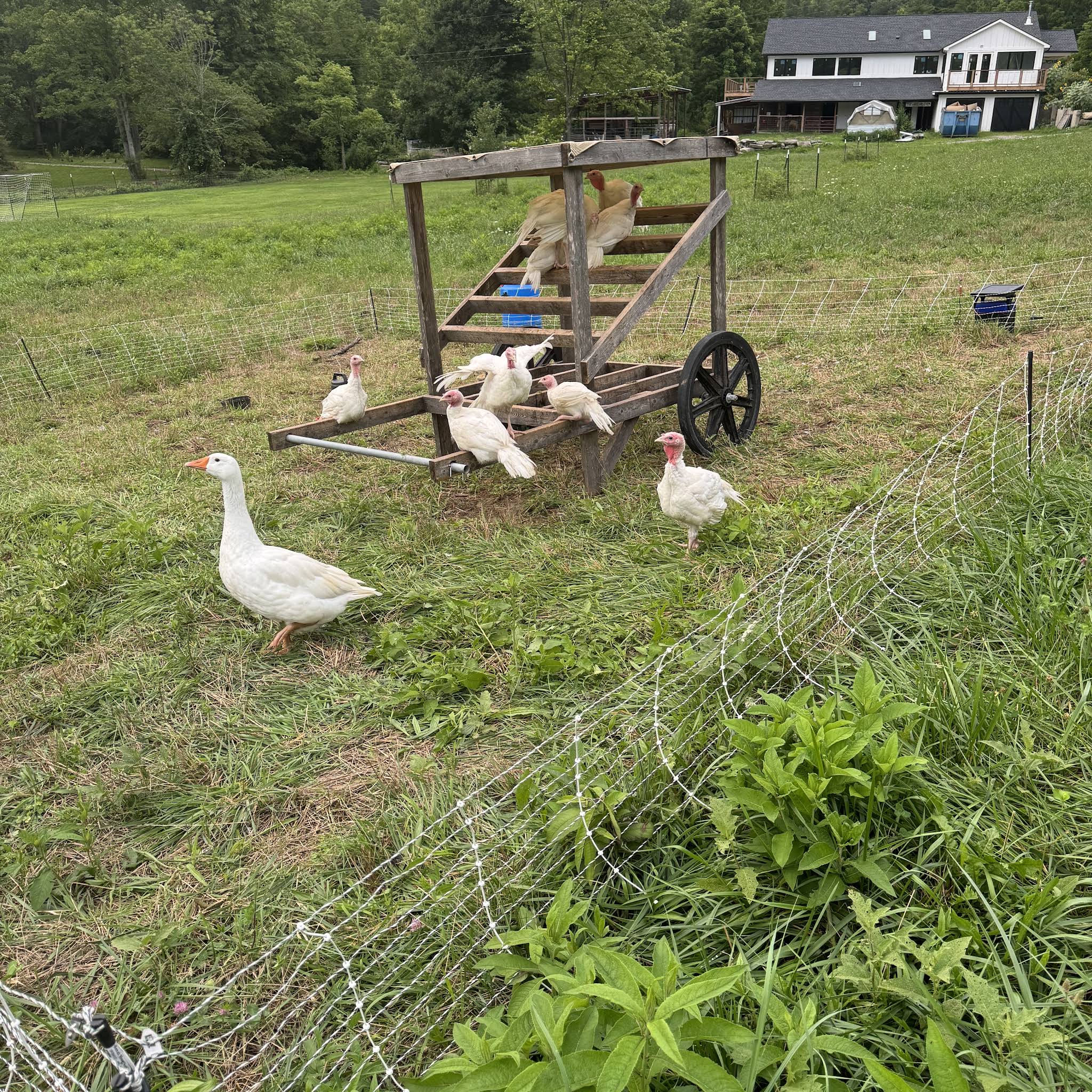 Post from Justin Rhodes