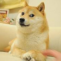 Poll from Doge god