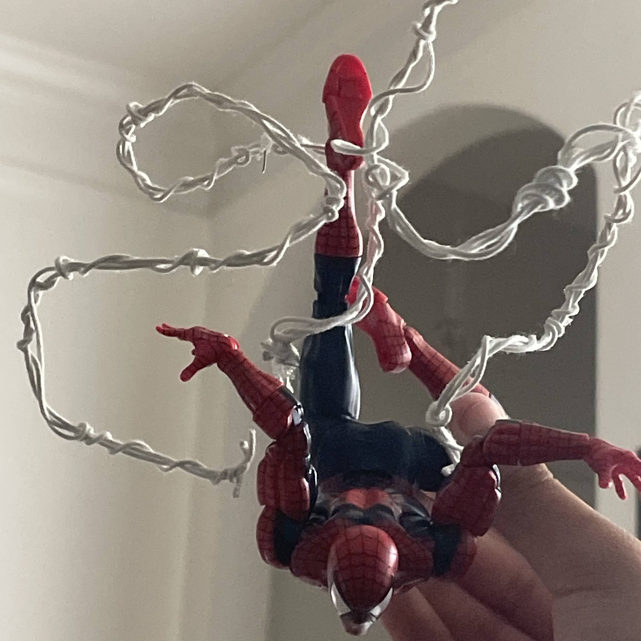 Post from spiderzilla