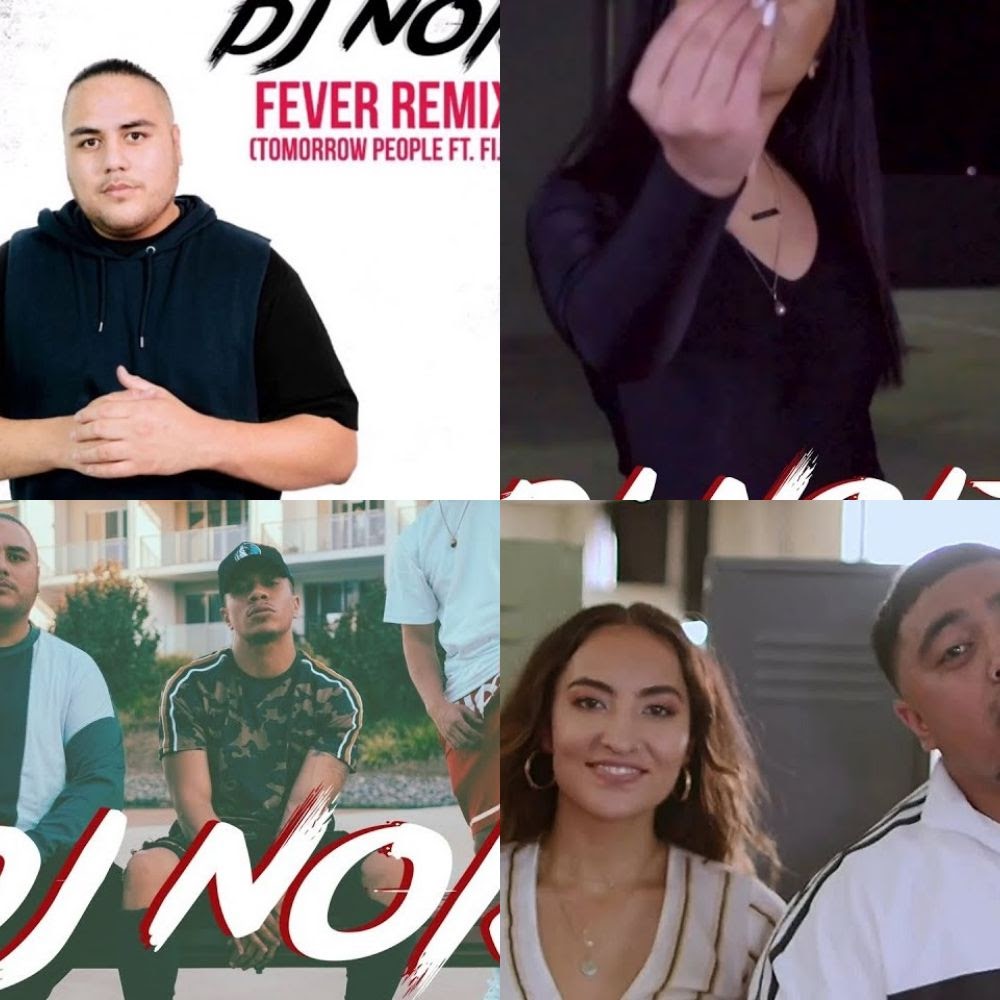 DJ Noiz - Official Remixes