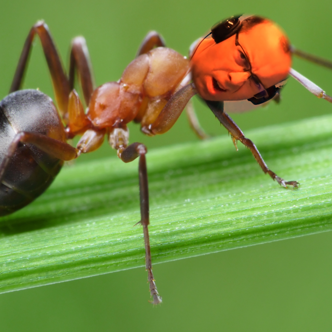 Post from 8 Bit Guy YTP Productions