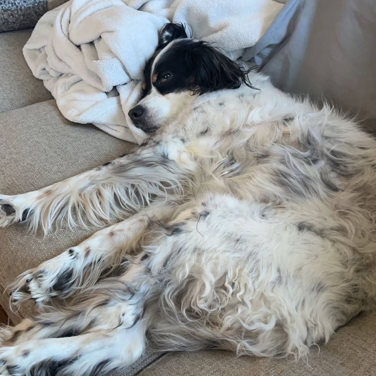 Post from Lemer Boss