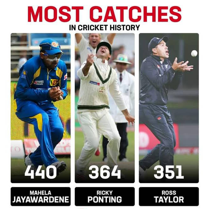 Post from Cricket Station 24