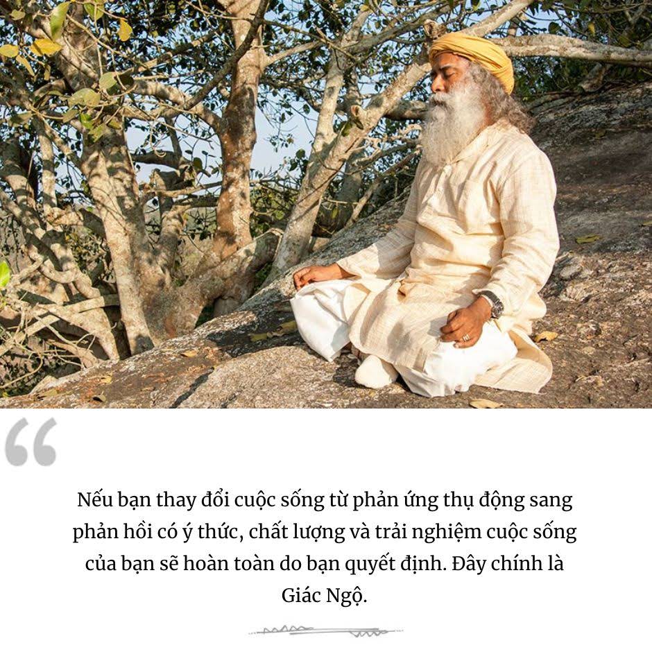 Post from Sadhguru Tiếng Việt
